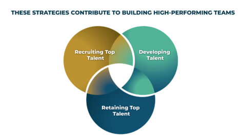 Building High-Performing Teams: Strategies for Success